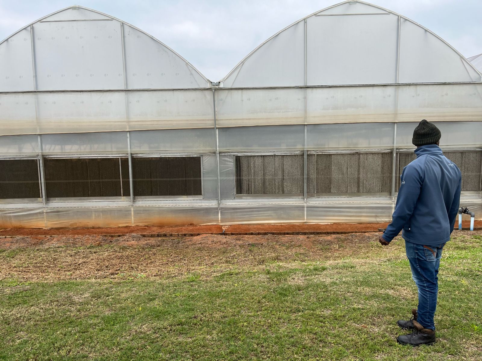 The Power of Peroxsil